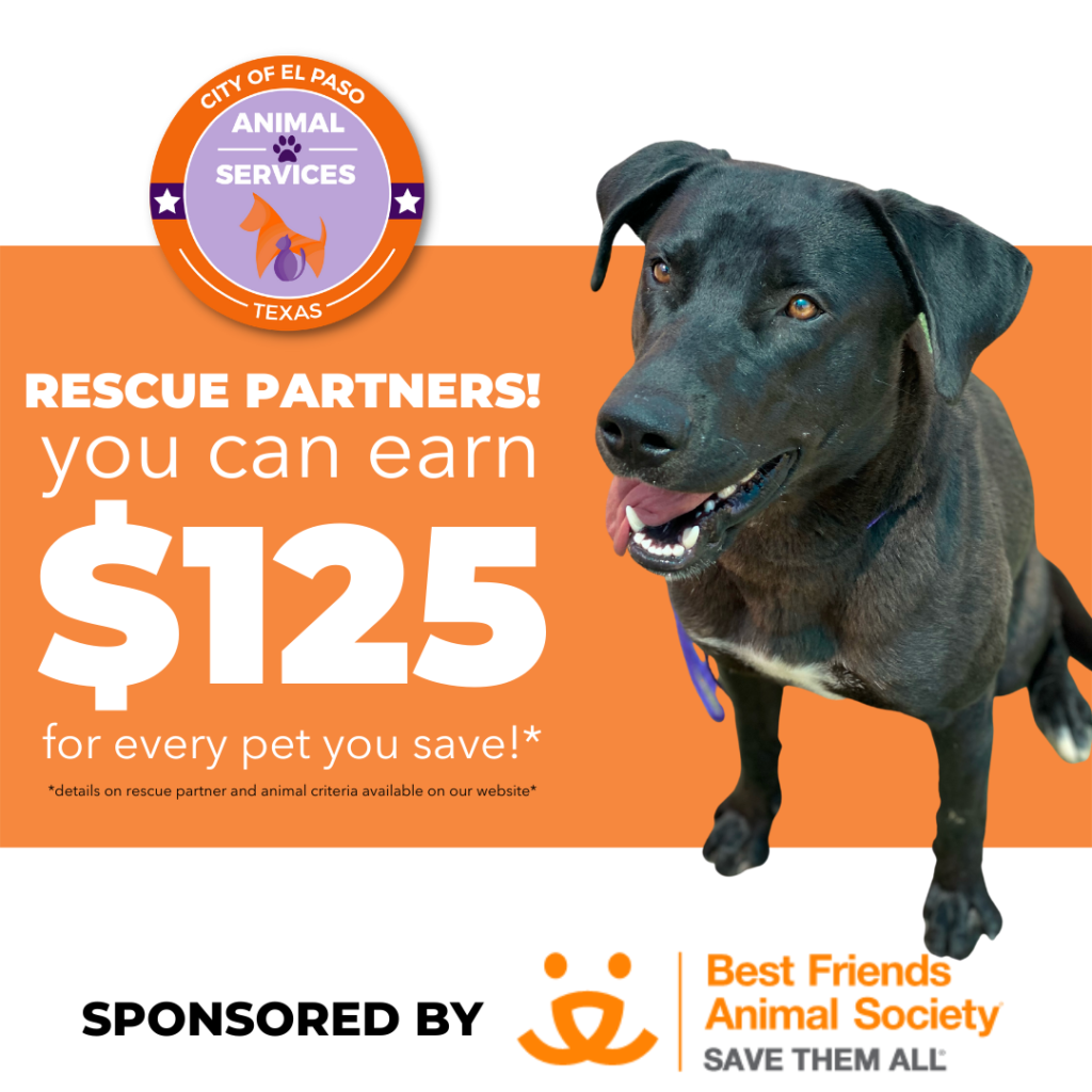 Press Release: Animal Services Offers Rescue Partners Incentive for ...