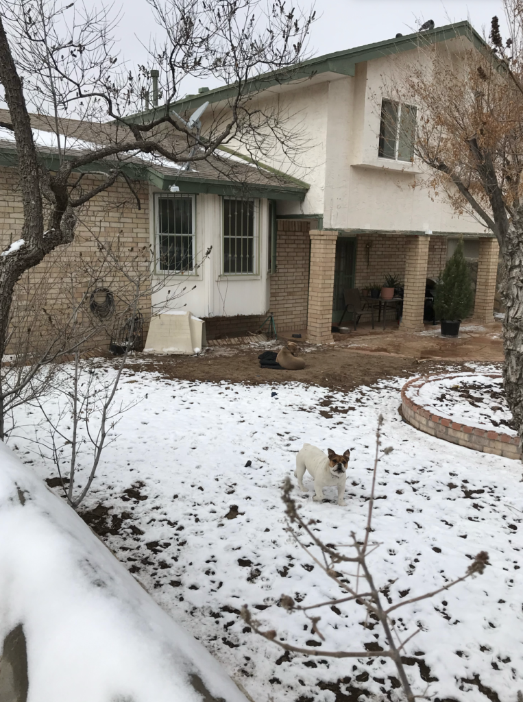 Press Release: Animal Services Reminds Public to Keep Pets Safe During Cold Spells - El Paso ...