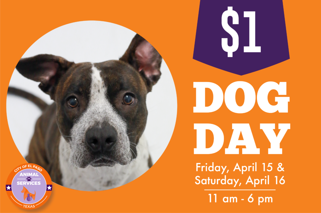 Press Release: El Paso Animal Services Hosts “Dollar Dog Days” Easter Weekend - El Paso Animal ...