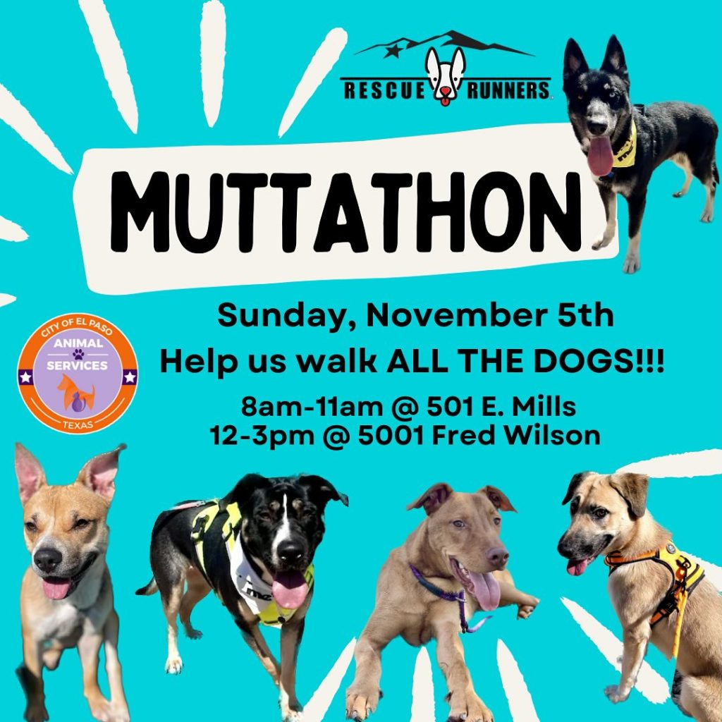 Press Release: El Paso Animal Services Invites the Community to Mutt-A ...