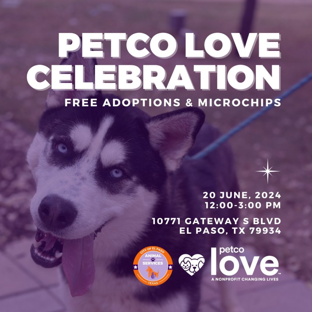 Press Release: El Paso Animal Services Awarded Generous Lifesaving Investment From Petco Love ...