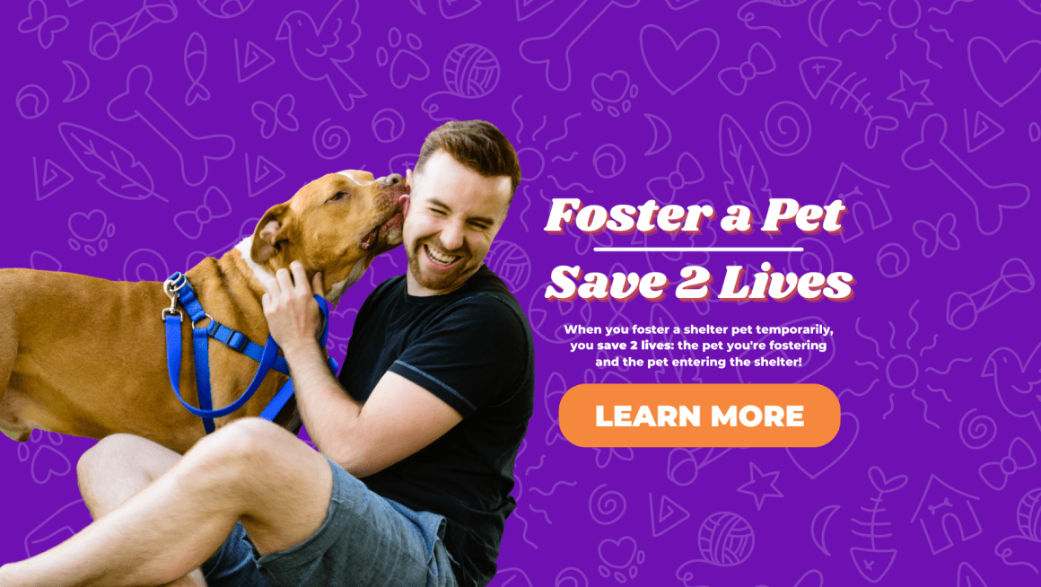 Home - El Paso Animal Services